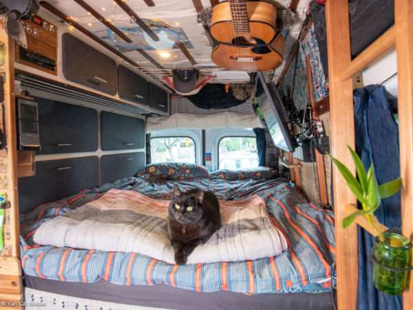 Building a Van Home for a Cat (and Two Humans) – Van Cat Meow